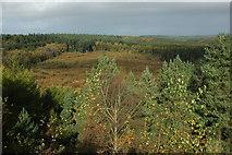 Local Attractions - Ruspidge & soudley Parish Council